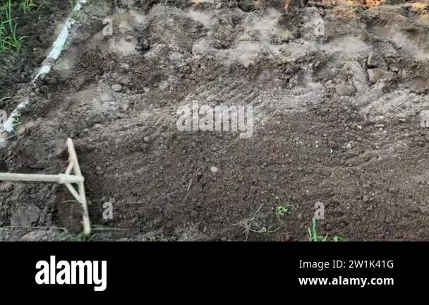 Gardener grading out soil with a rake. Unrecognizable person's hands ...