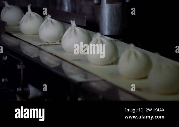 Automatic Machine Production Process at a Dumpling Factory. Fresh Raw ...