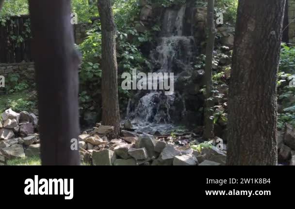 Waterfall among trees Stock Videos & Footage - HD and 4K Video Clips ...