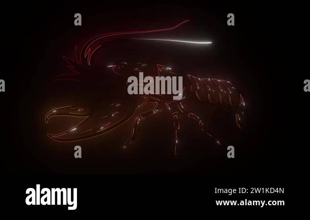 Flat lobster Stock Videos & Footage - HD and 4K Video Clips - Alamy