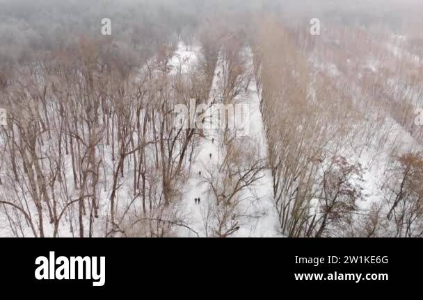 Park baum Stock Videos & Footage - HD and 4K Video Clips - Alamy