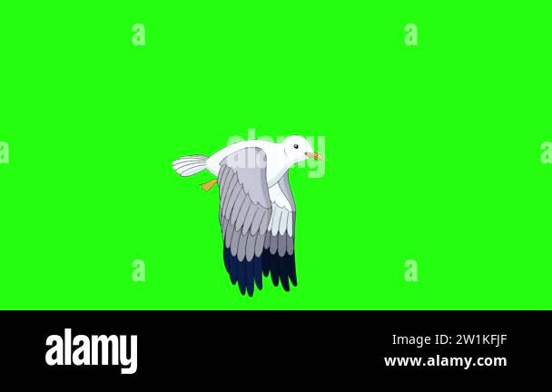 Seagull flies and soars in the sky. Handmade animated looped footage ...