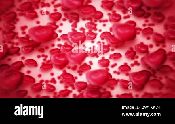Red blood cells floating through blood and circulating in the vessels ...
