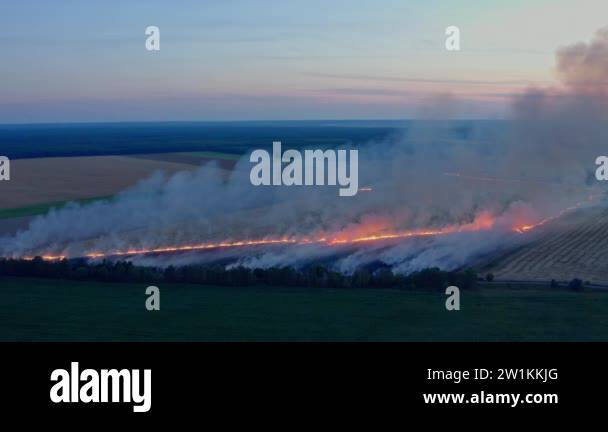 Top view and flying over field with a fire. Aerial view, smoke clouds ...