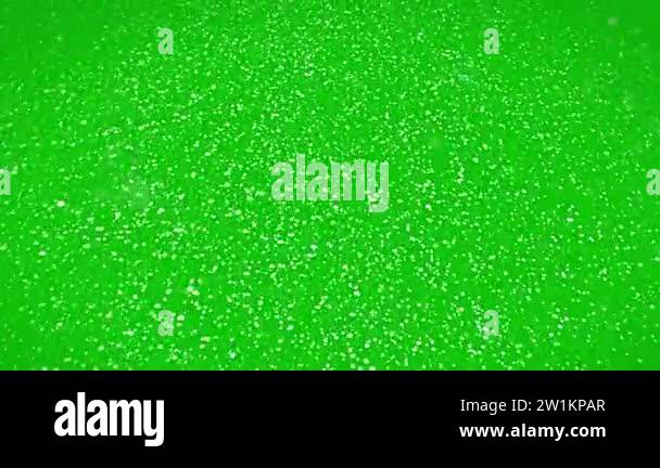 Heavy snowfall with chroma key green screen background. Blizzard snow ...
