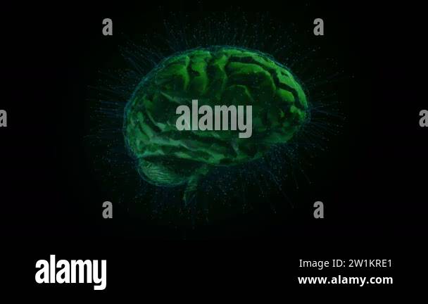 Digital brain. Artificial intelligence. Head X-ray. Rotating X-rays of ...
