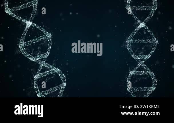 DNA division concept. Loopable abstract background of dna duplicating ...