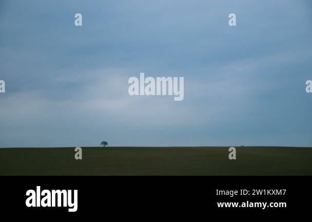 Stark empty tree Stock Videos & Footage - HD and 4K Video Clips - Alamy