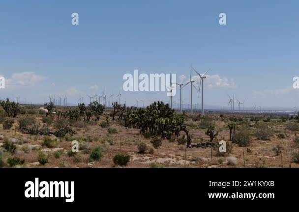 Wind Turbines Power Plant and Joshua Trees In Mojave Desert California ...