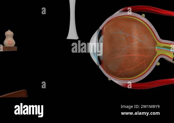 Concave structure Stock Videos & Footage - HD and 4K Video Clips - Alamy