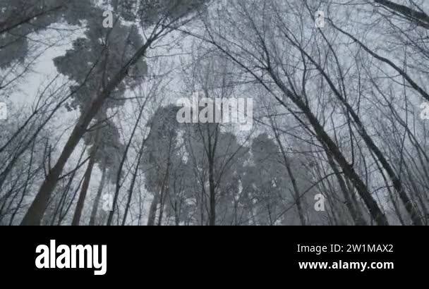 Cold grey winter sky Stock Videos & Footage - HD and 4K Video Clips - Alamy