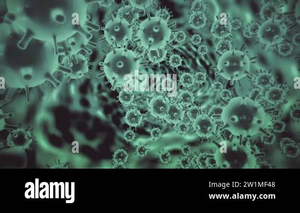 Swine influenza virus H1N1 pathogen inside infected organism. Virus ...