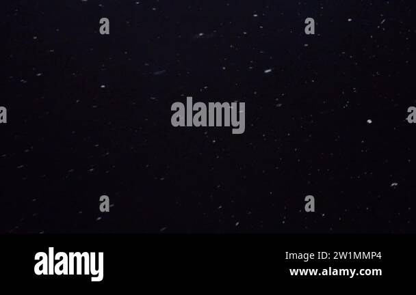 Snowfall against night sky, white snow flakes falling at night, looped ...