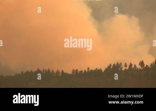 Heavy billowing orange smoke obscuring the sun from a wildfire in a ...