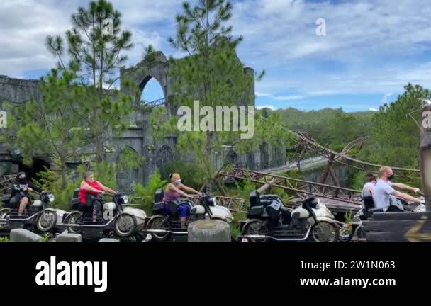Florida creatures Stock Videos & Footage - HD and 4K Video Clips - Alamy