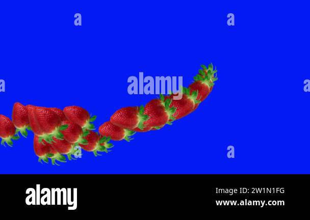 strawberries group fruits transition animation on blue screen chroma ...