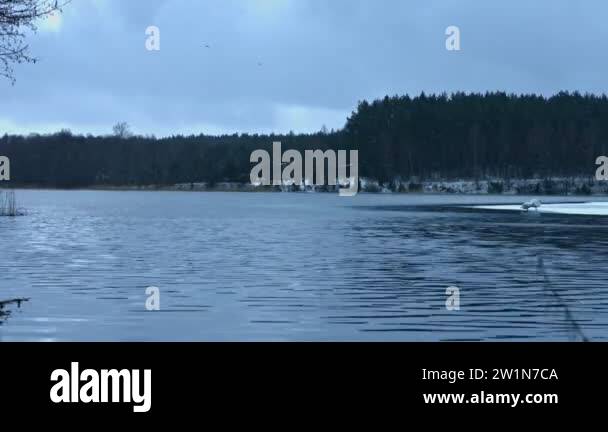Snow falling on lake Stock Videos & Footage - HD and 4K Video Clips - Alamy