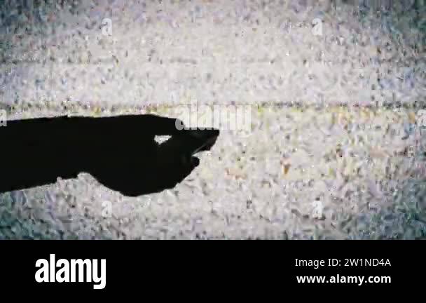 Silhouette of a Hand Holding a TV Remote on TV Screen Background with ...