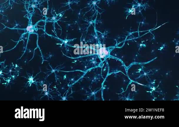 Animation neurons in the brain.Synapse and Neuron cells sending electrical chemical signals ...