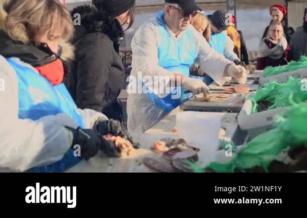 Fischer port Stock Videos & Footage - HD and 4K Video Clips - Alamy