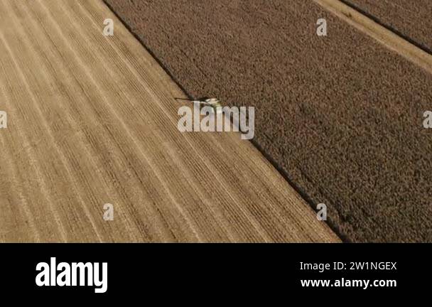 Combine Harvester Cuts Corn Stalks on a Farm. Cutter bar of a combine ...