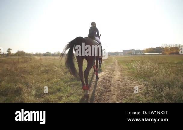 Little girl riding through meadow on purebred brown horse. Jockey kid ...