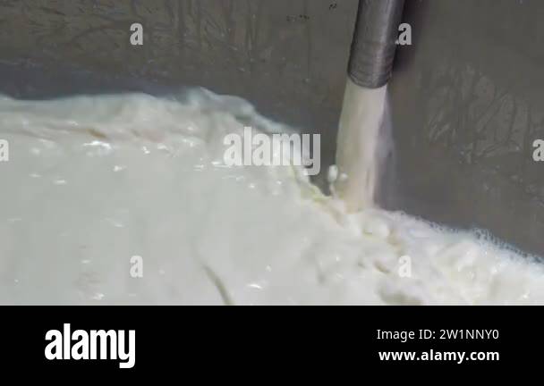 Raw Milk Pouring into Pasteurization Tank - Zoom Out. Milk ...
