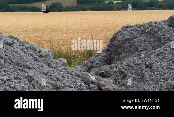Sewage Sludge that will be used for Spreading in the Agricultural ...