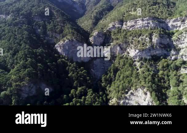 Camera approaching to the forested slope with rocks on a sunny summer ...