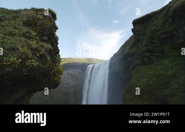 Iceland family tree Stock Videos & Footage - HD and 4K Video Clips - Alamy