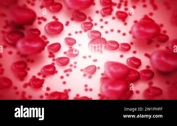 Red blood cells floating through blood and circulating in the vessels ...