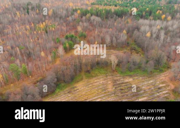 Strip forest Stock Videos & Footage - HD and 4K Video Clips - Alamy