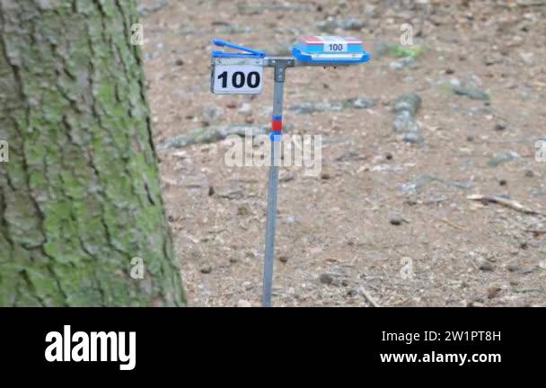 Orienteering sign Stock Videos & Footage - HD and 4K Video Clips - Alamy