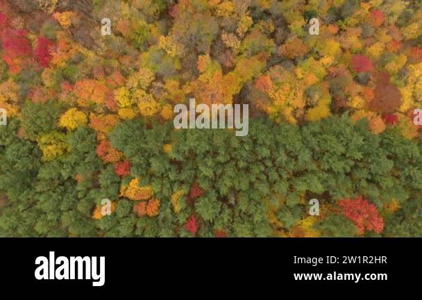 Fall line america Stock Videos & Footage - HD and 4K Video Clips - Alamy