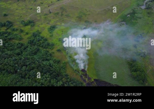 Burning grass and trees in a deserted field. Fire destroys the nature ...