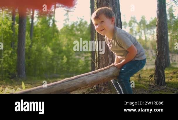Two little boy collecting firewood in the forest. Two little brothers ...