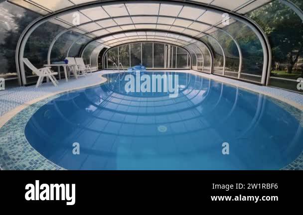 Dolphin side view not bottlenose Stock Videos & Footage - HD and 4K ...