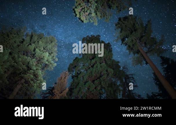Sequoia tree milky way galaxy Stock Videos & Footage - HD and 4K Video Clips - Alamy