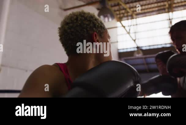 Side view close up of a mixed race female boxer with long, dark plaited ...