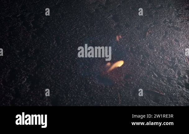 Pavement burn Stock Videos & Footage - HD and 4K Video Clips - Alamy