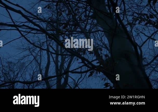 Scary wind Stock Videos & Footage - HD and 4K Video Clips - Alamy