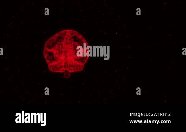 Model of the human brain is spinning in space. The effect of the plexus ...