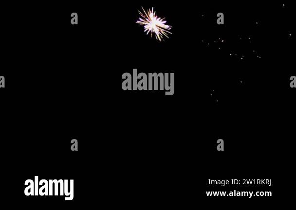 Firecracker vector Stock Videos & Footage - HD and 4K Video Clips - Alamy