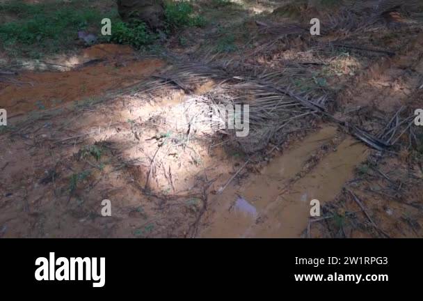 Track pathway Stock Videos & Footage - HD and 4K Video Clips - Alamy