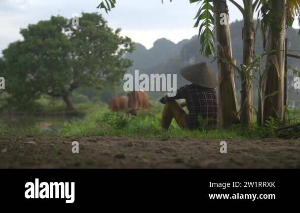 Uncle thing Stock Videos & Footage - HD and 4K Video Clips - Alamy