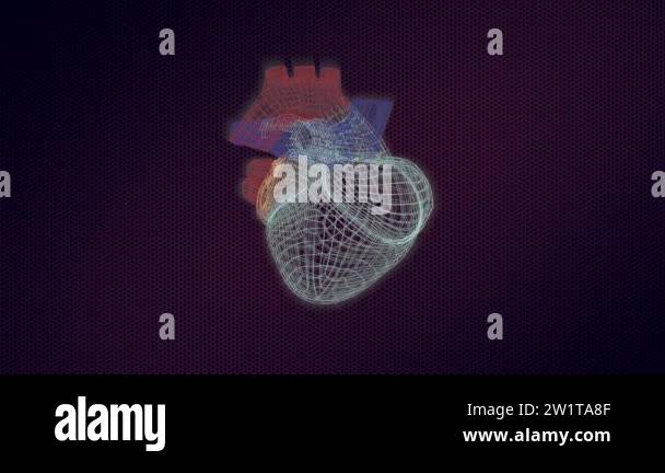 3d model of human heart on the monitor turning around, with visual ...