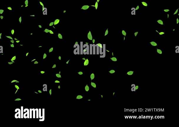 Green Leaves Flying Realistic 3D Alpha channel loop Animation Slow ...