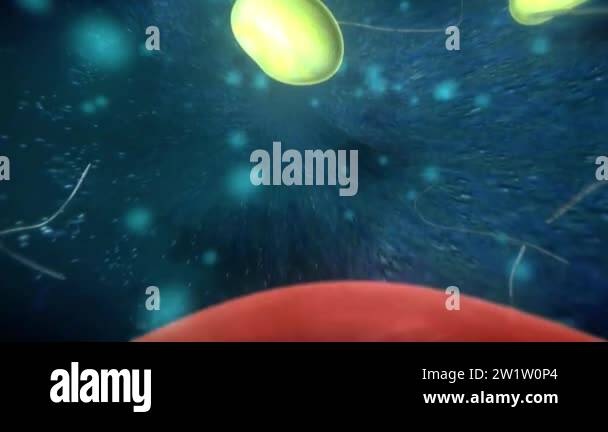 Robotic Intracellular Manipulation. 3D Navigation and Measurement ...