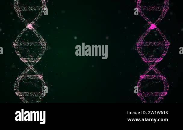 DNA division concept. Loopable abstract background of dna duplicating its contents and dividing ...