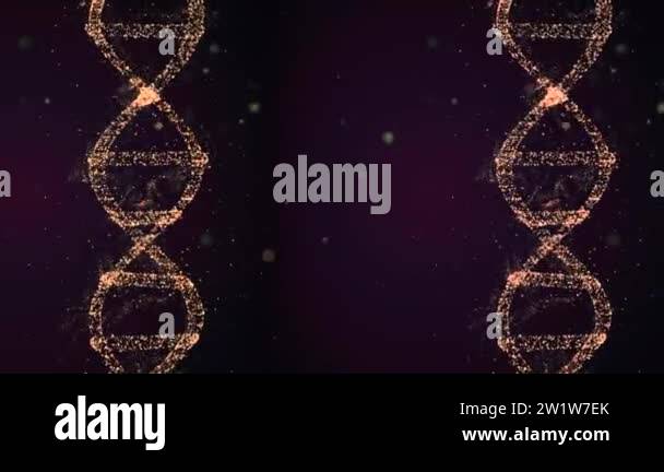 DNA spiral shape molecules turning around during decoding process Stock ...